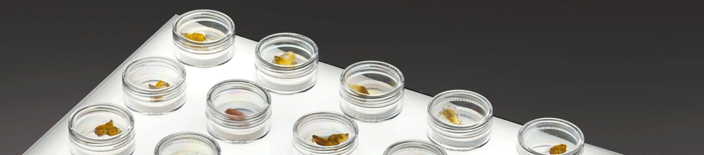 Understanding Live Resin and Mastering Storage Techniques | KYND Packaging